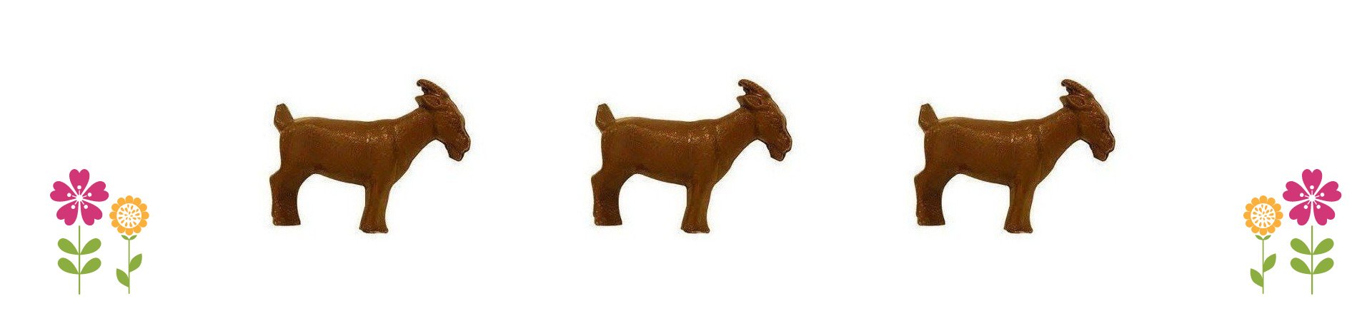 Best gift and chocolate shop in Sussex County