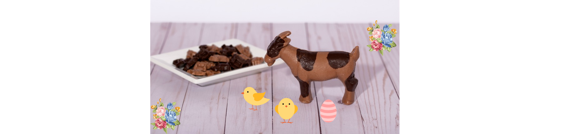 Home [www.chocolategoat.com]