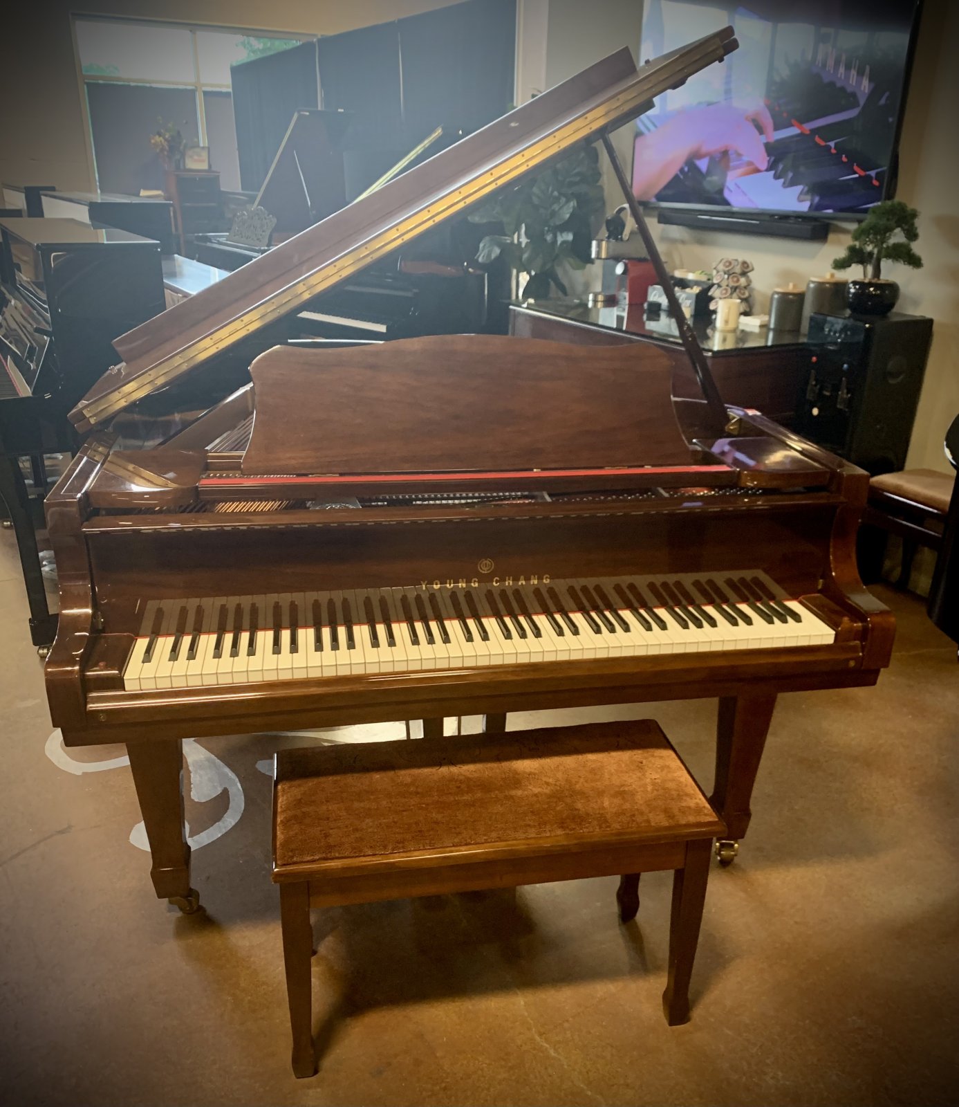 Young Chang G175 Walnut Polish 5956 PRE-OWNED