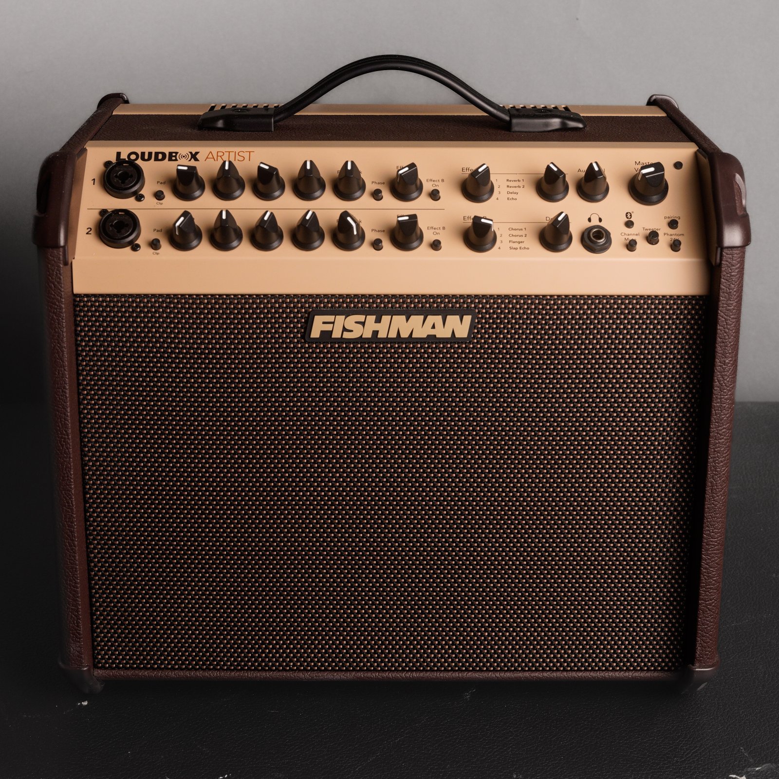 Fishman Loudbox Artist 120W Acoustic and Vocal Amplifier PRO-LBT-600 (used)