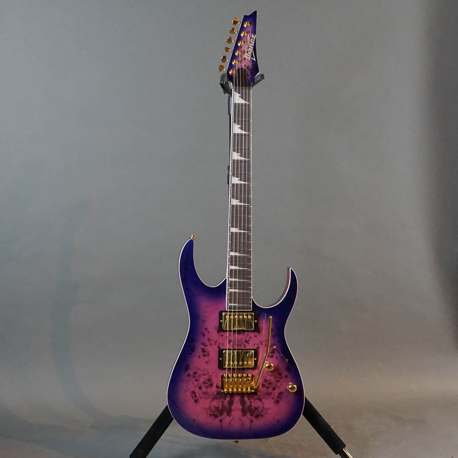 Ibanez GIO GRG220PA Electric Guitar Royal Purple Burst - 4549763305275