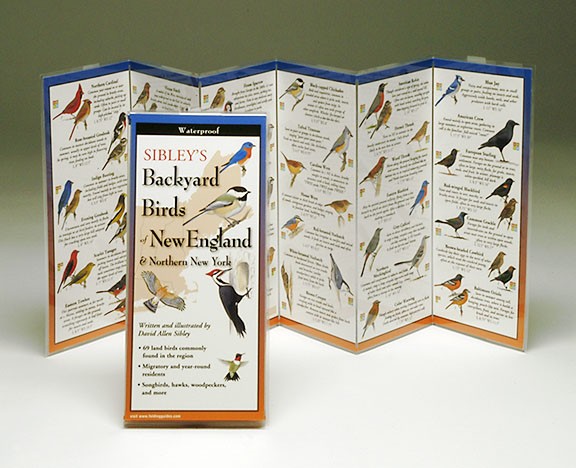 SIBLEY'S BACKYARD BIRDS OF THE NORTHEAST FOLDING GUIDE - 740620901089