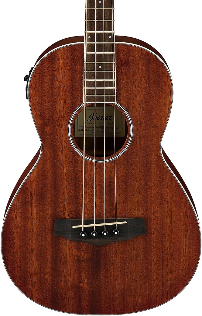 Ibanez PNB14EOPN Short Scale Acoustic/Electric BASS- Open Pore Natural ...