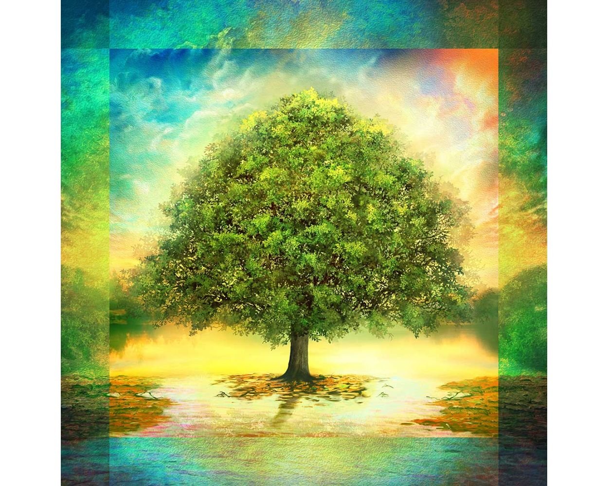 OA Daytime Tree OA Daytime Tree