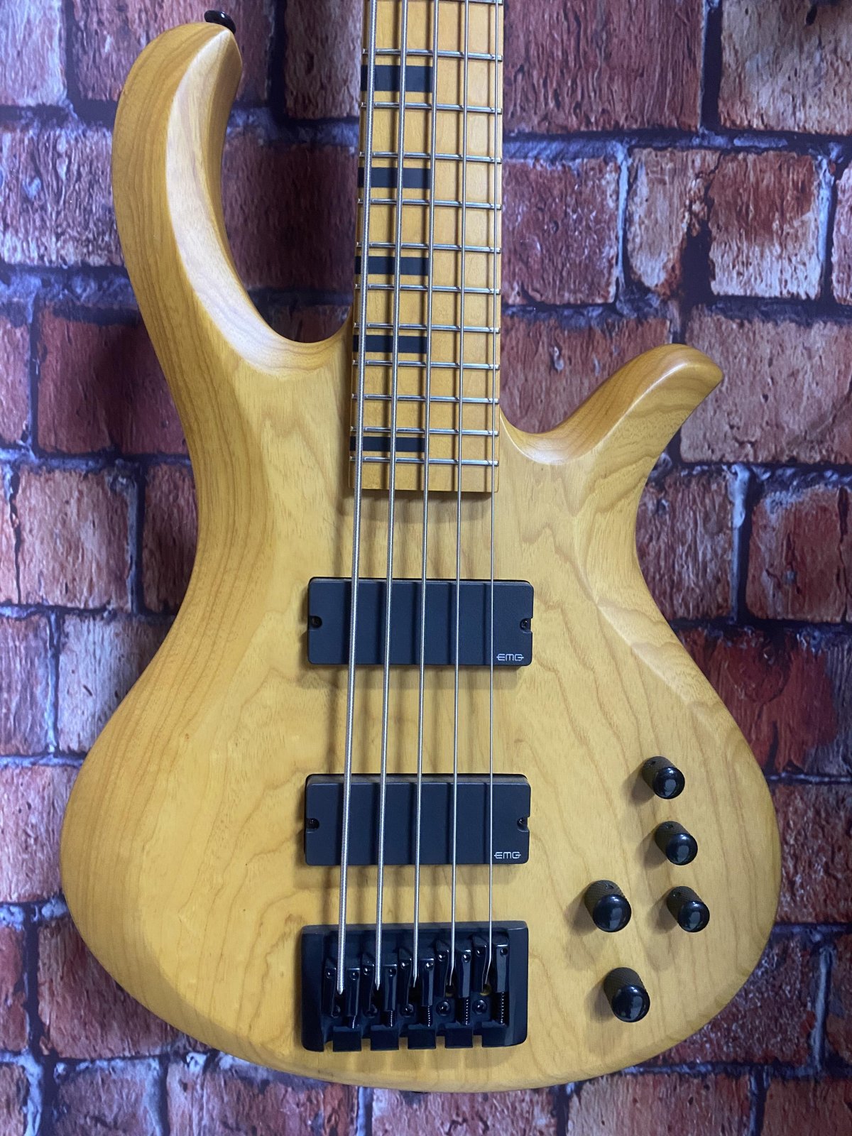 Schecter Riot 5 Session 5 String Bass - 081544708034