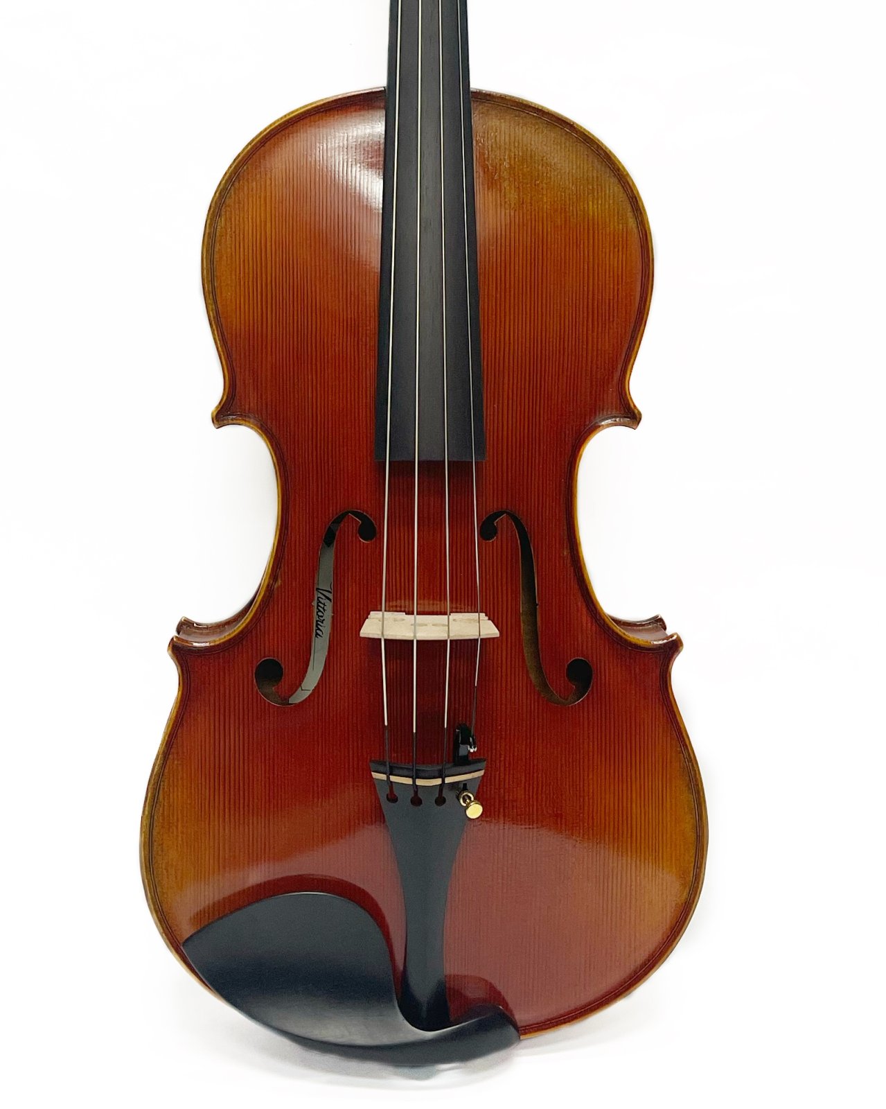 JVC Vittoria Model Viola