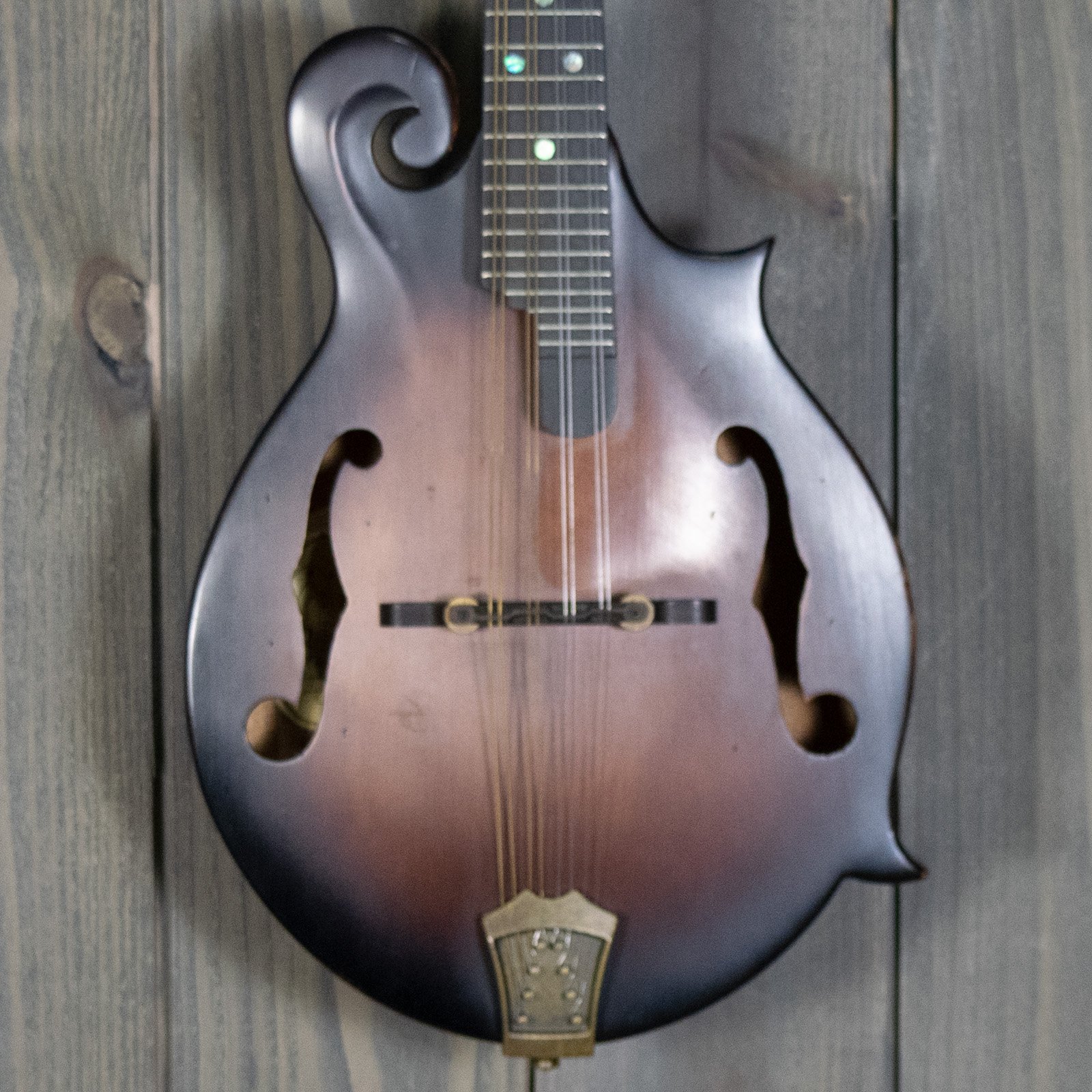 Washburn M108SWK F Style Mandolin w/ HSC (Used - 2015)