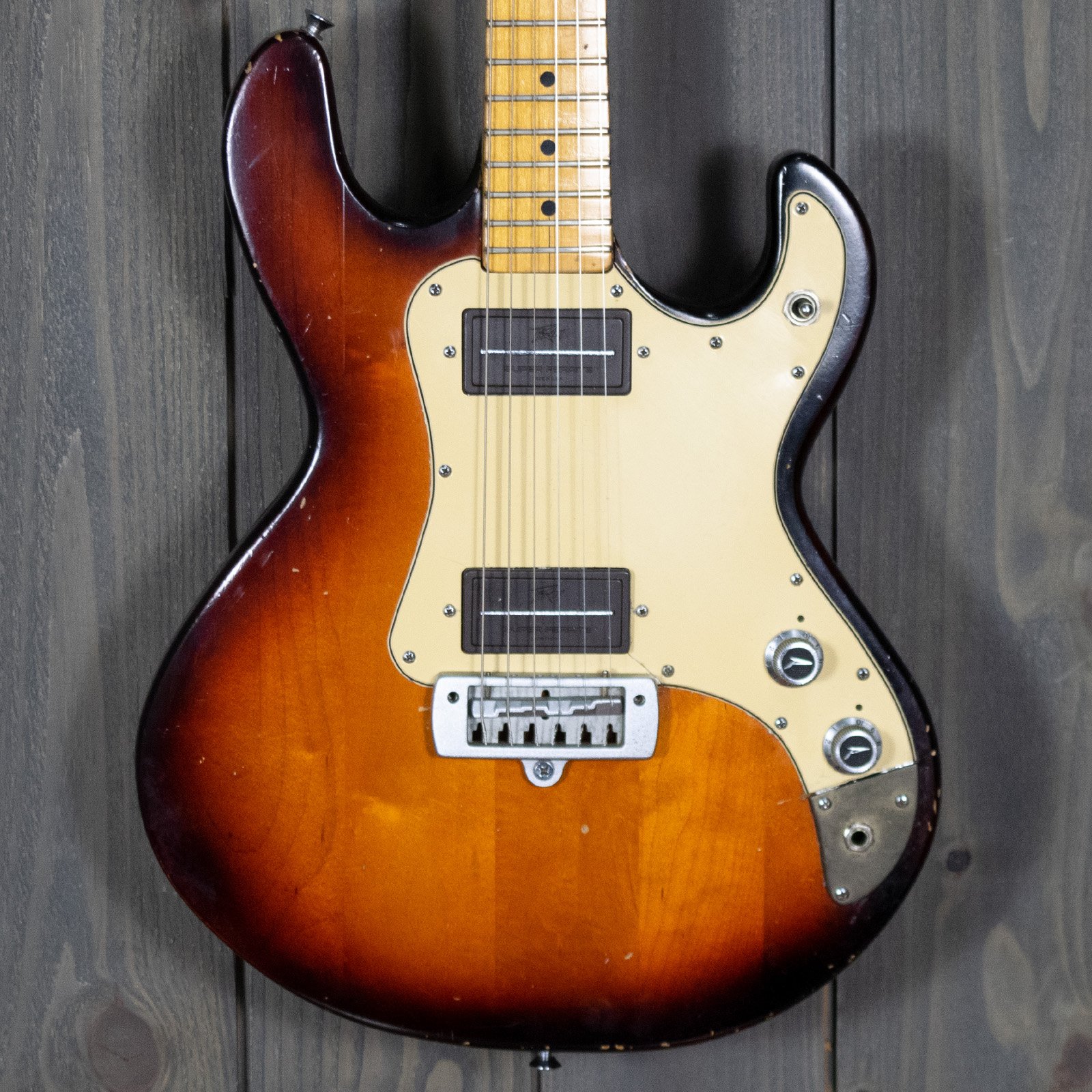 Peavey T-15 w/ Amp Case (Vintage - 1981)