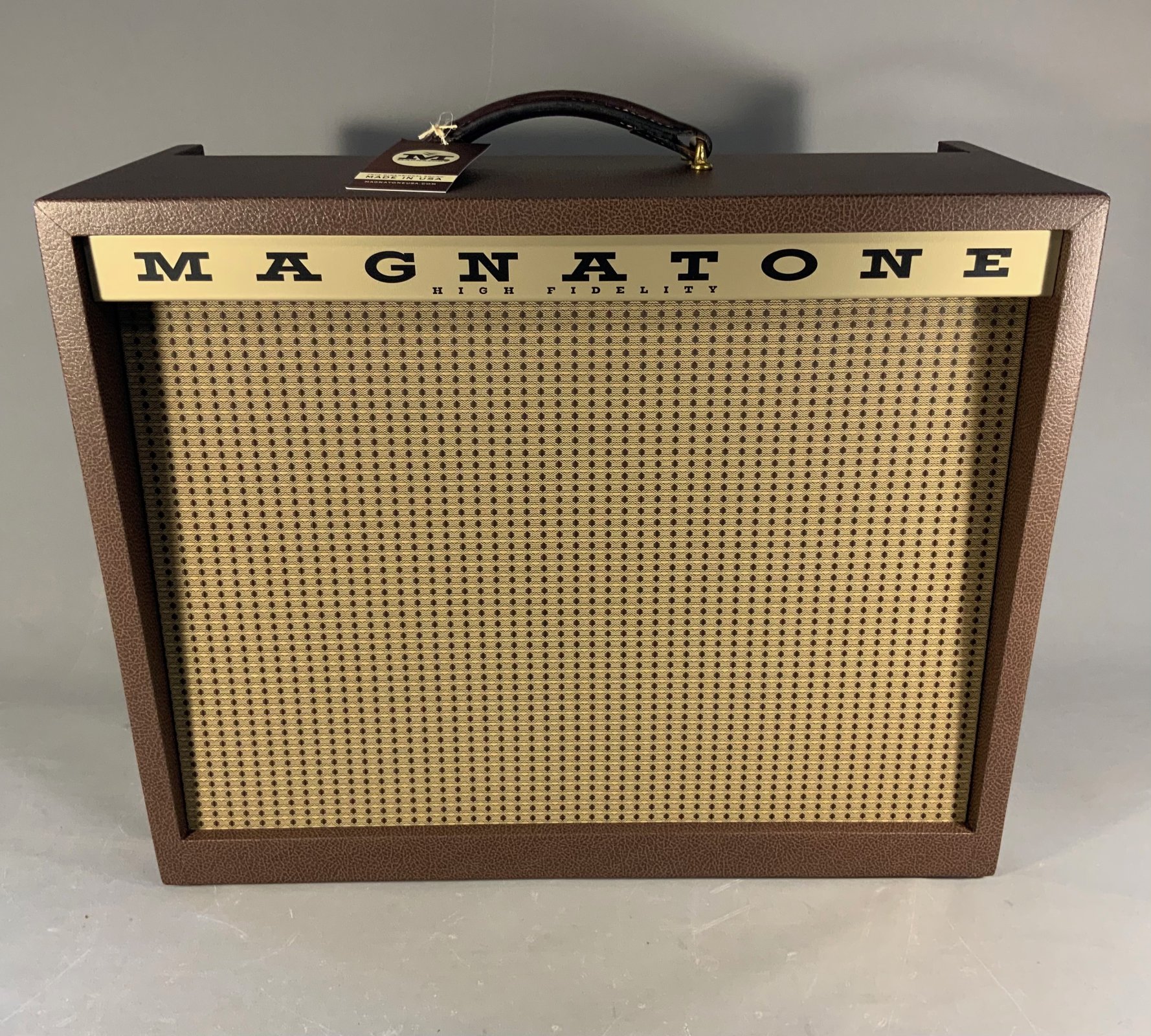 Magnatone Varsity Reverb