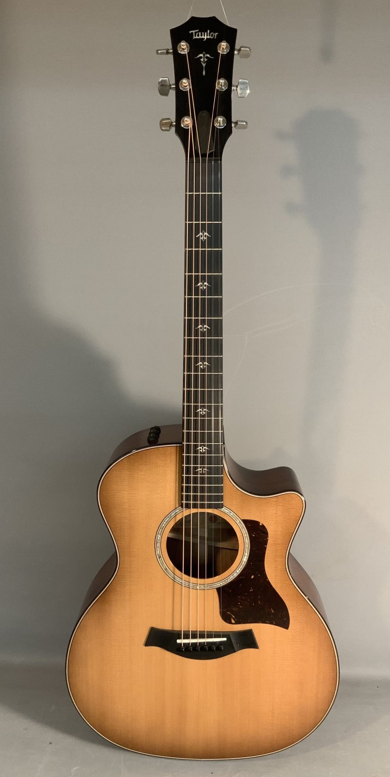 Taylor 514ce - 887766116431