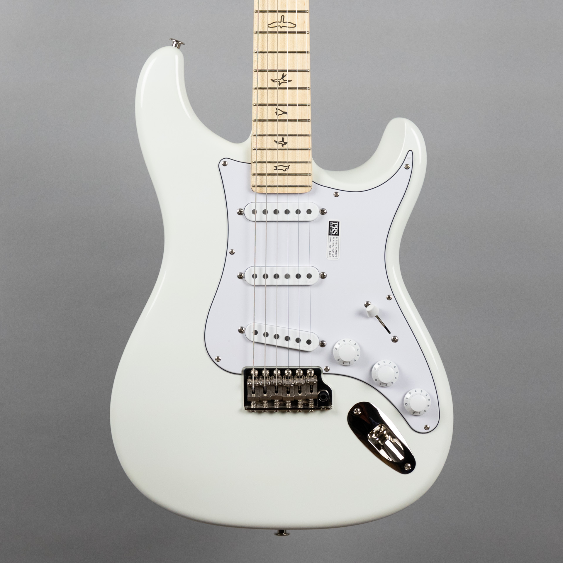 Paul Reed Smith Silver Sky Maple in Frost - 825362169413