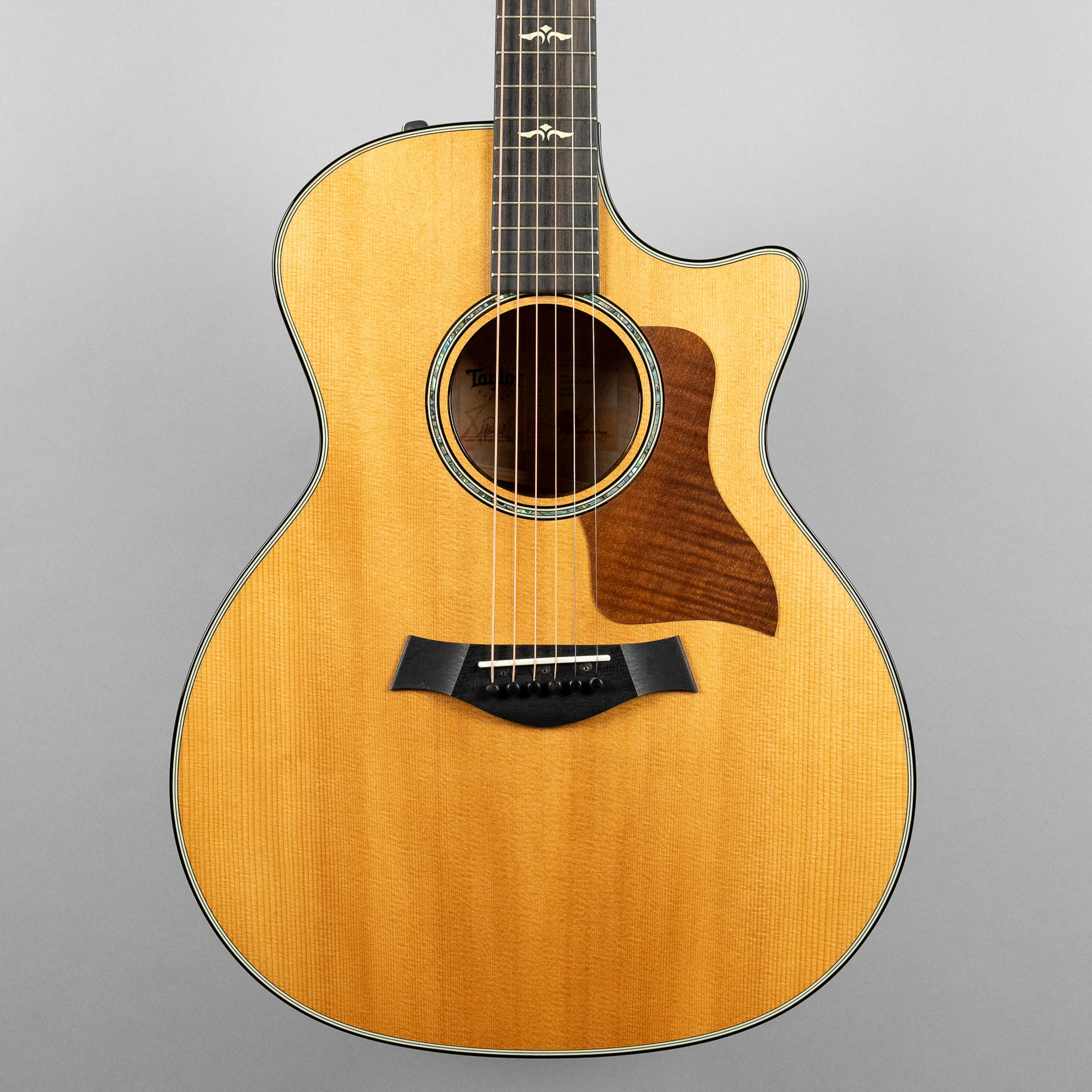 Taylor 614ce V-Class Bracing (Demo) - 00887766087021