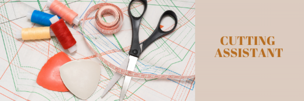 Cutting Assistant