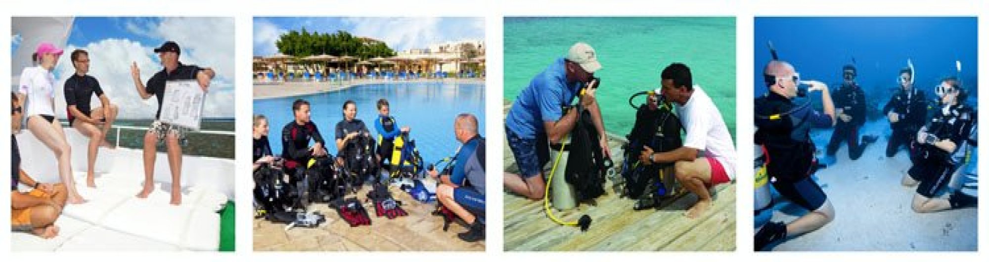 Professional Certifications