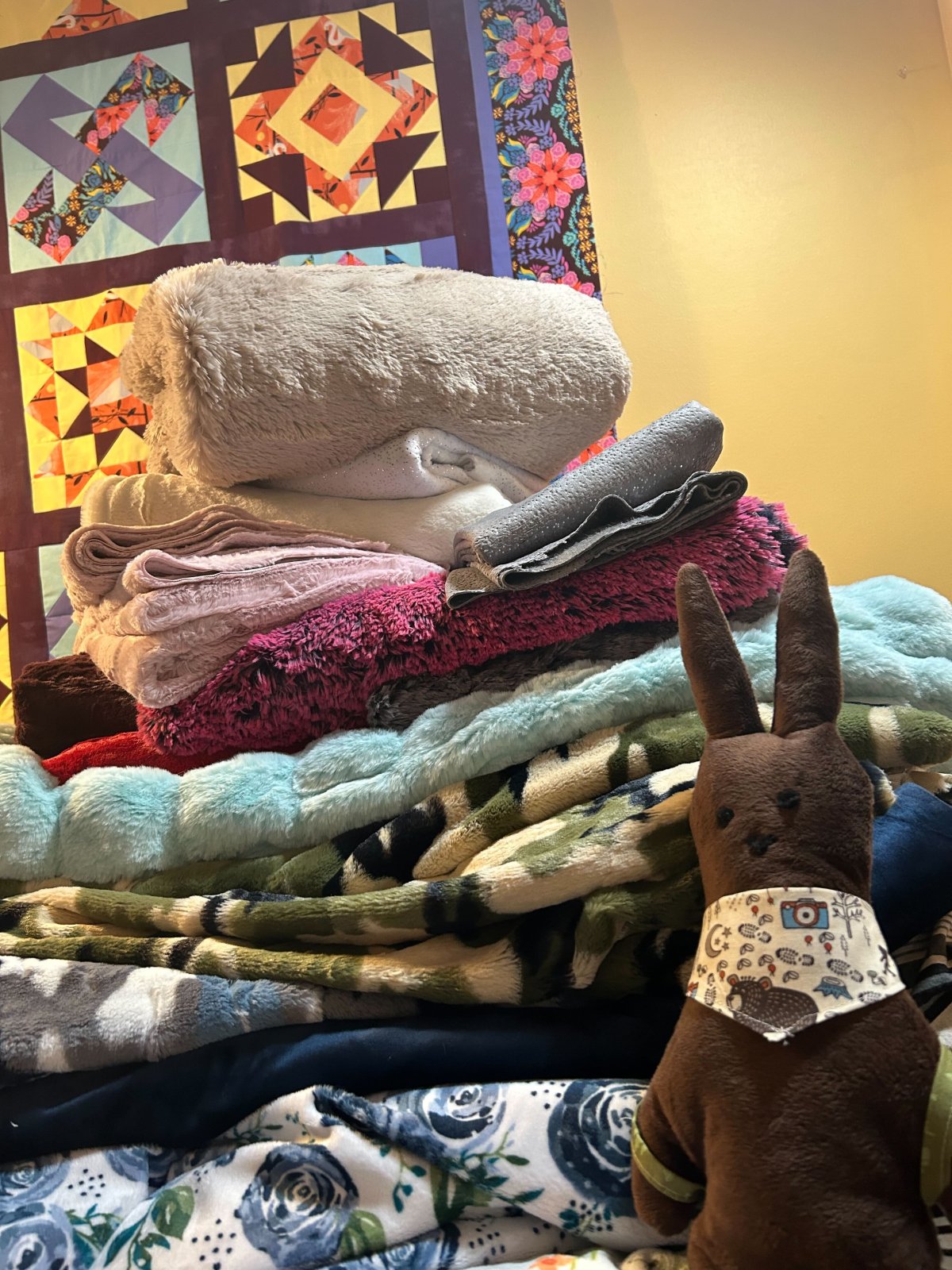 Shannon Cuddle/Minky Trunk Show