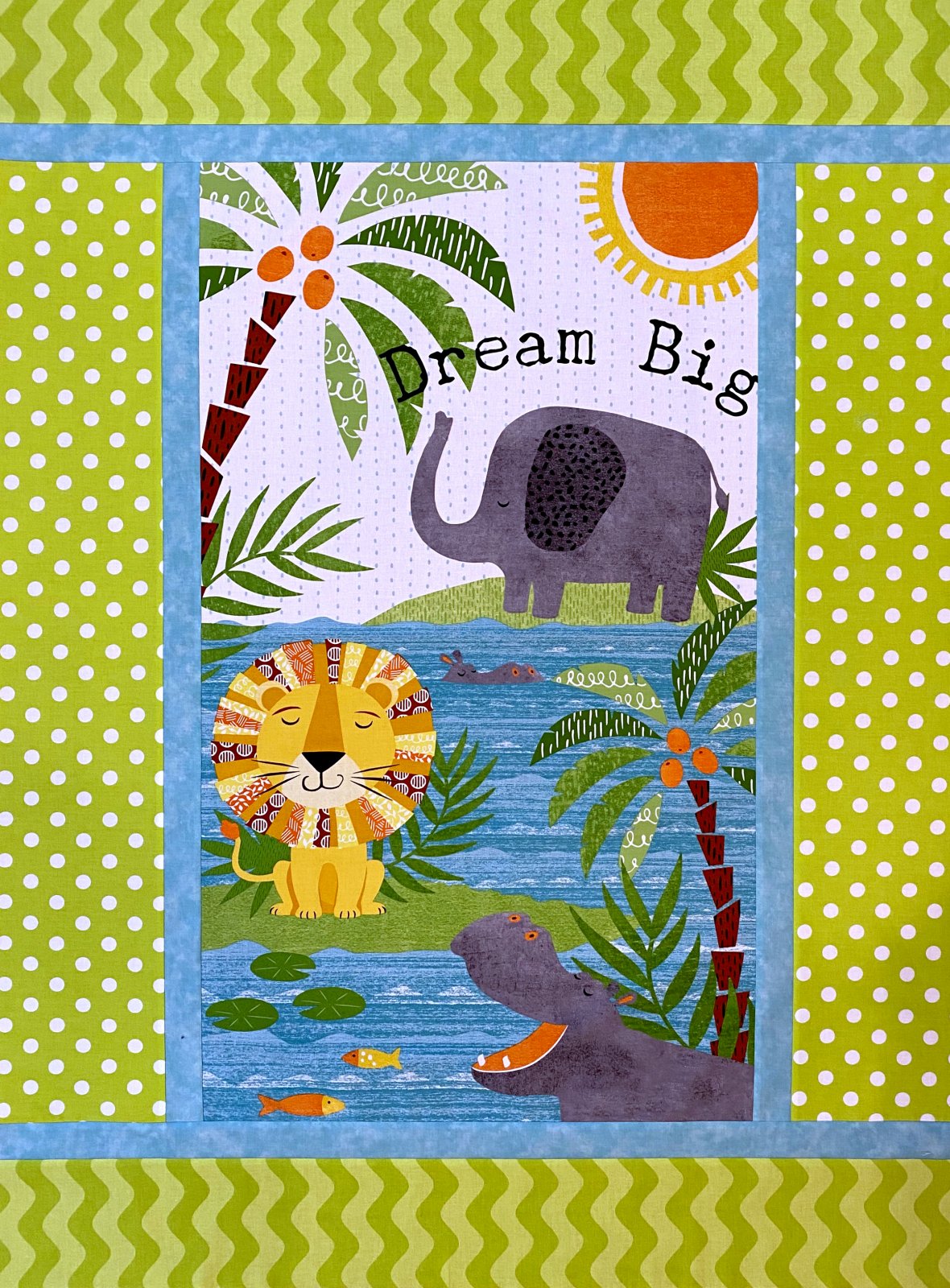 Dream Big Baby Panel Quilt Kit Dream Big Baby Panel Quilt Kit