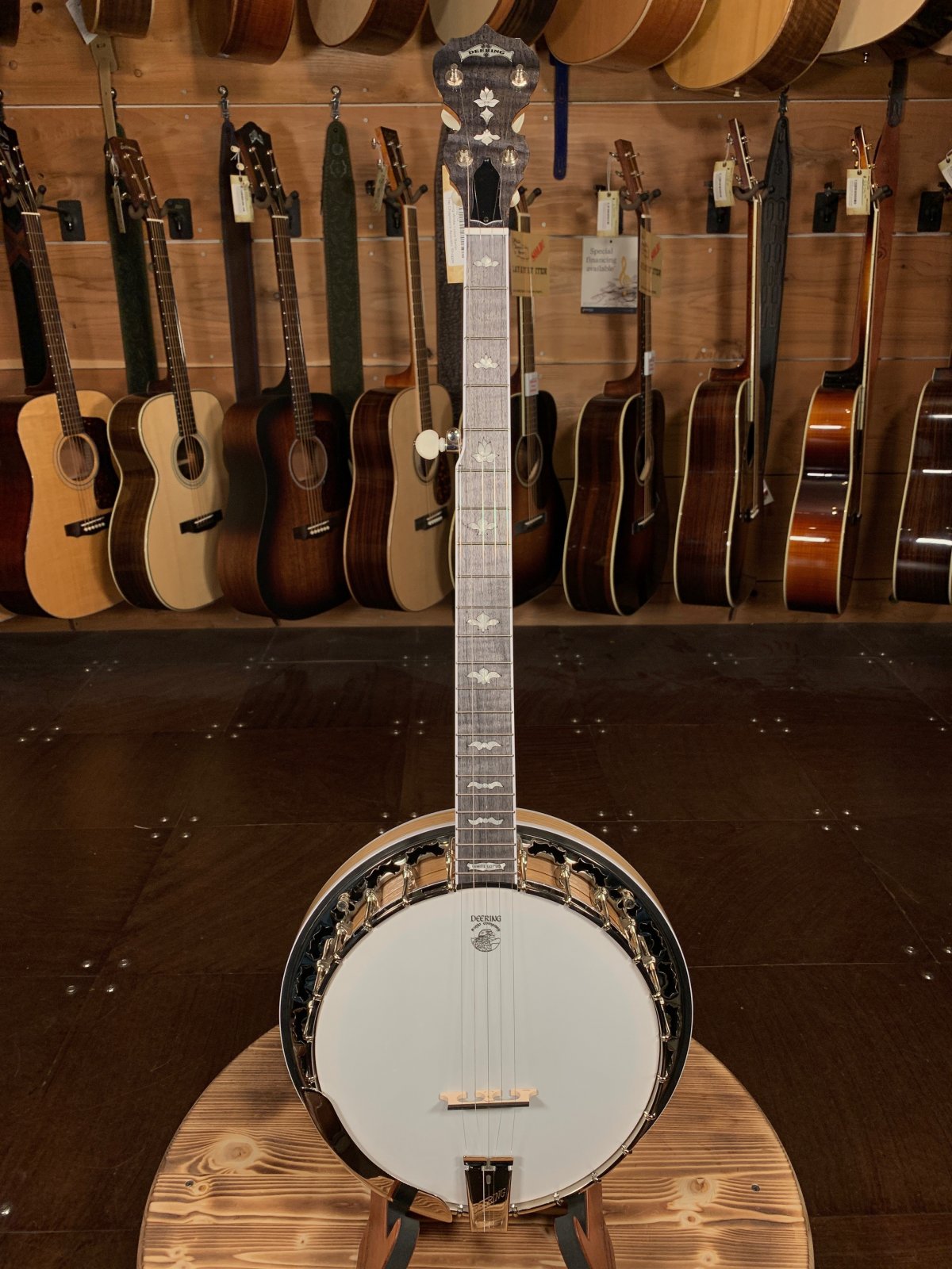 Deering White Lotus 5-String Banjo w/ White Oak Neck & Midnight Maple ...