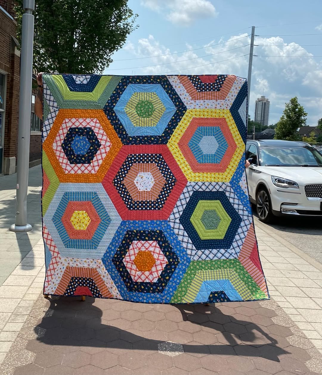 Succulent Garden Quilt Featuring Denyse Schmidt Five and Ten - FINISHED ...