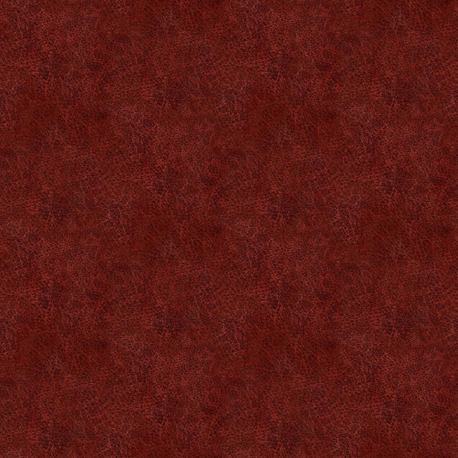 Wine Book Cover Maroon and Old Books from Cat Tales - 778148296745