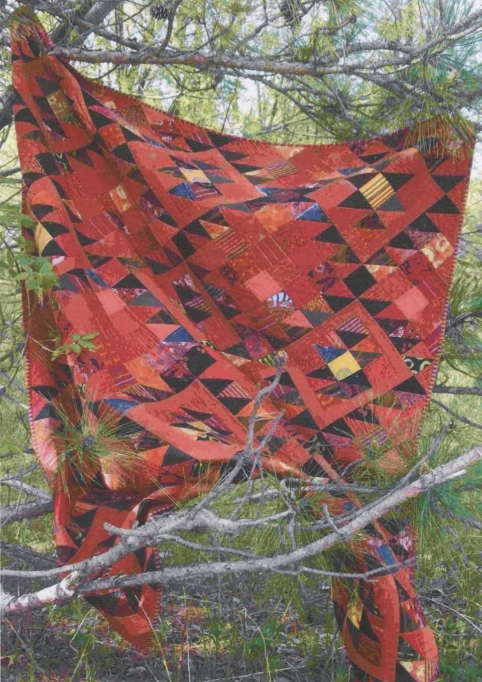 Aardvark Quilts