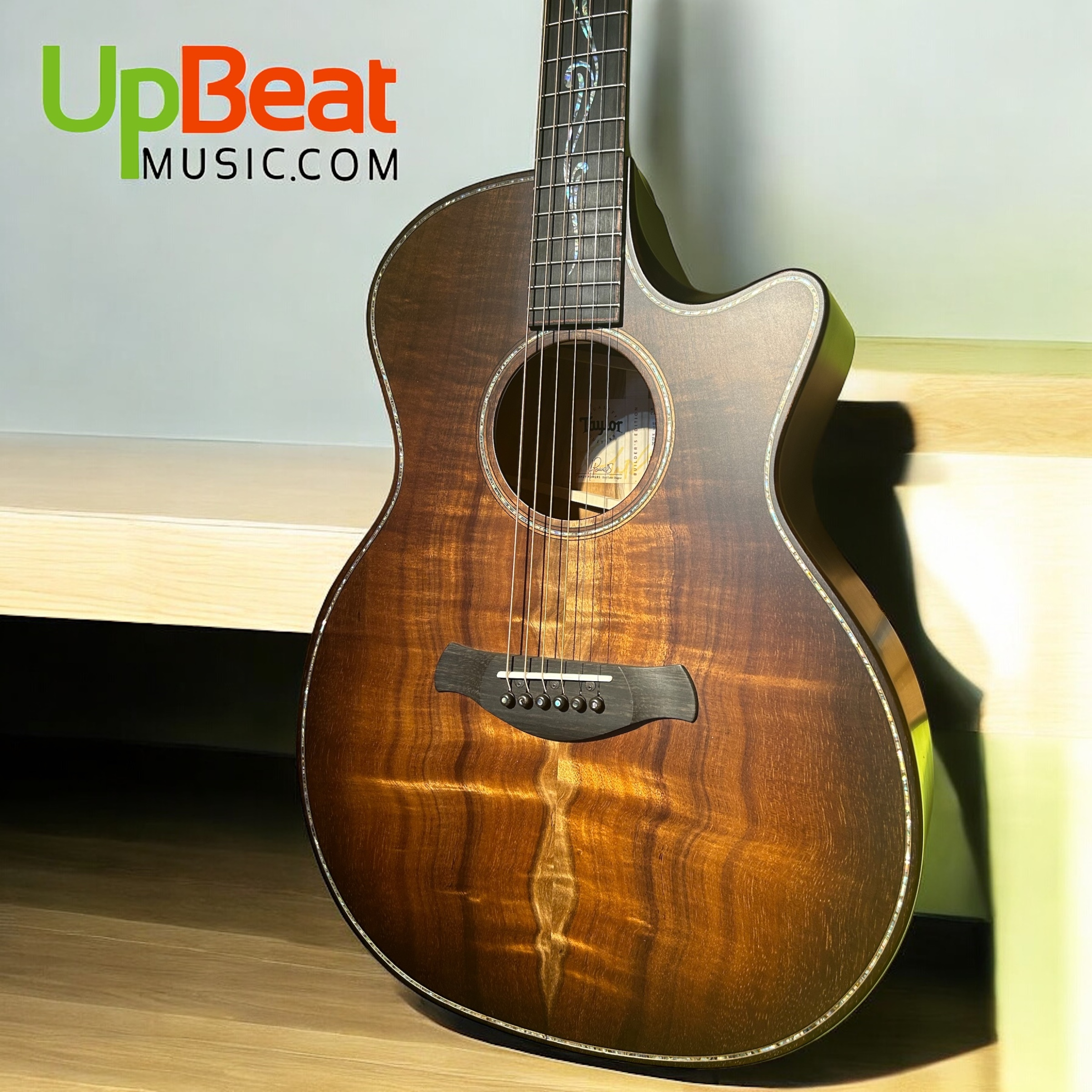 Taylor Builder's Edition K24ce: Beveled Cutaway: AC/EL - 887766102182