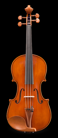 Eastman VL200S 4/4 Violin