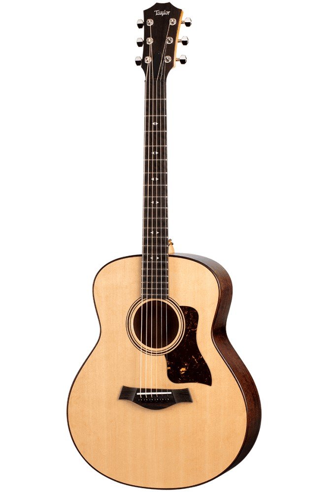 Taylor GT Urban Ash Acoustic Guitar with Aerocase - 887766107156