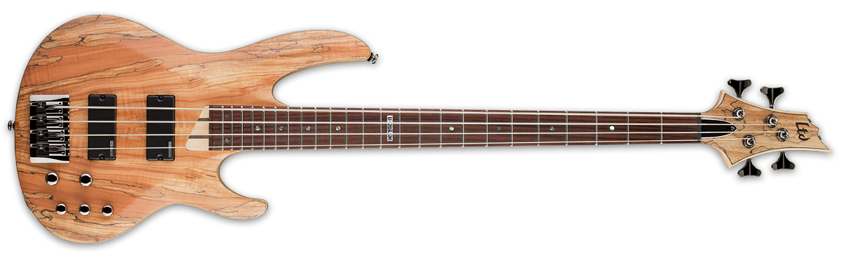 Electric Bass Guitars