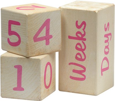 Day Week & Year Photo Prop Blocks - 679952320261