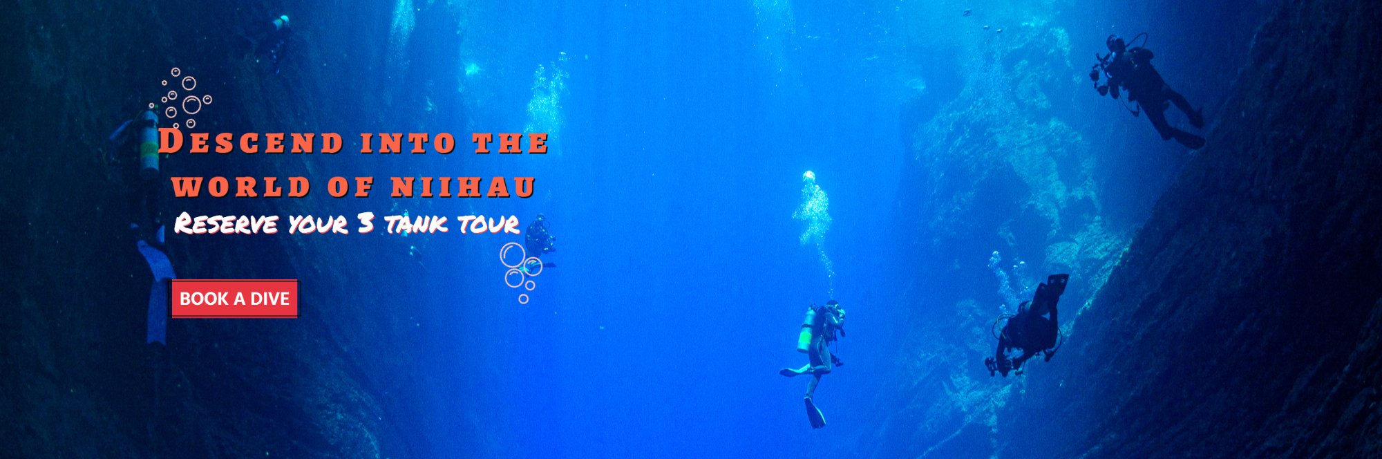 Scuba Dive Kauai with Fathom Five Divers | Koloa, HI 96756