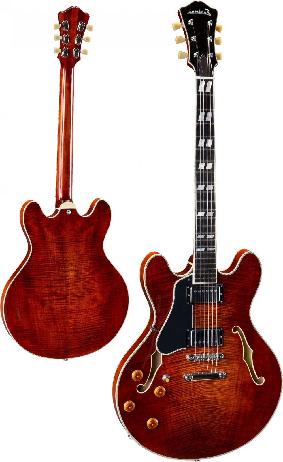 Thinline/Archtop Electric Guitars