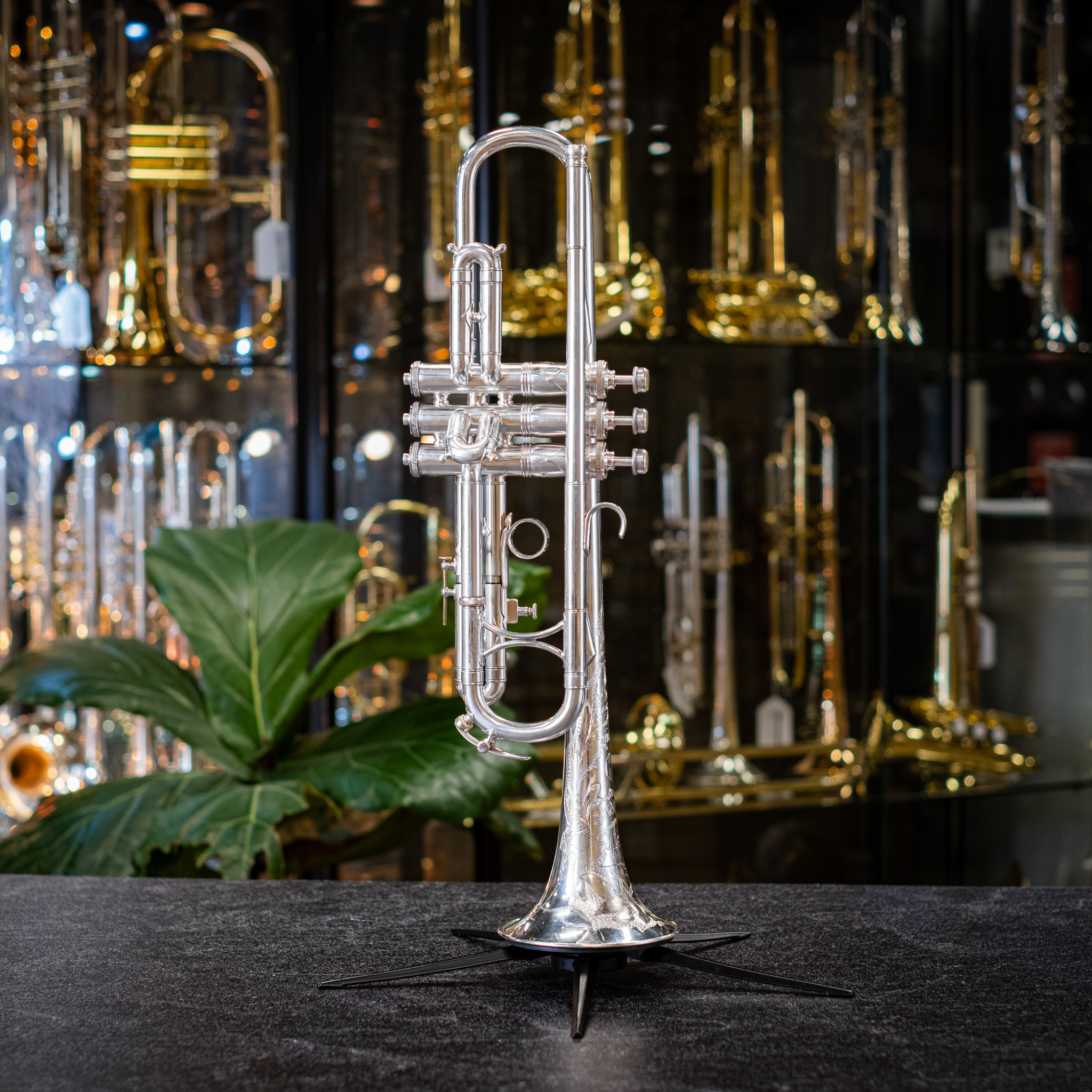 silver trumpets devon