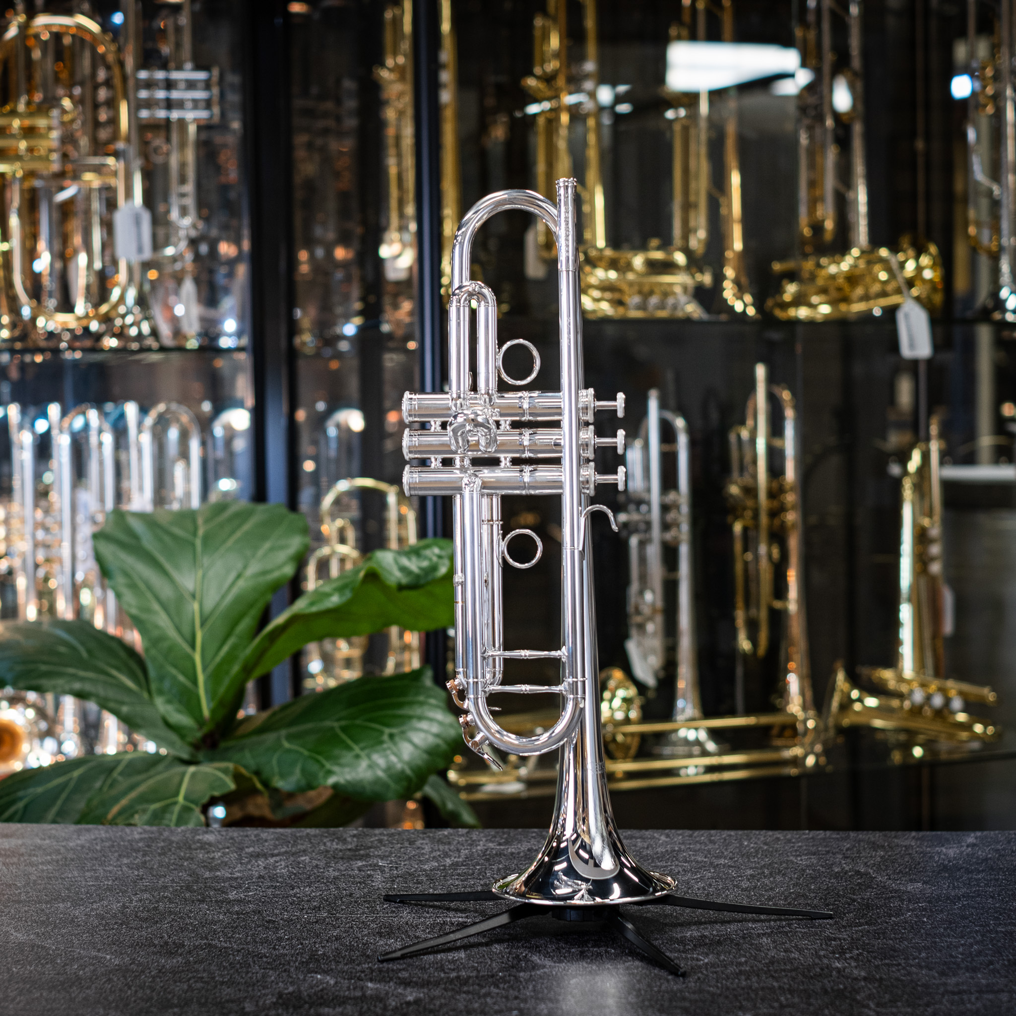 CarolBrass CTR-5060H-GSS-S Bb Trumpet - New