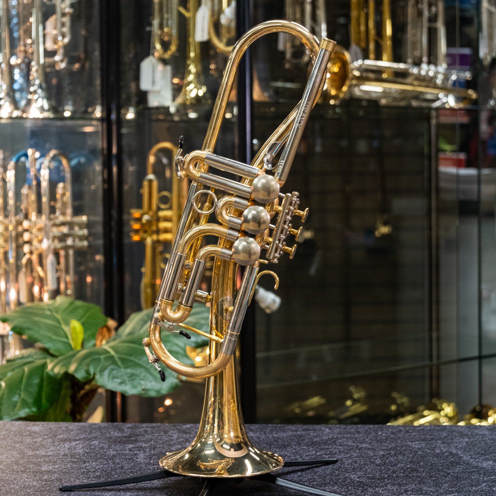 Schagerl Ganschhorn Heavy - Ultra-Modern Rotary Trumpet!
