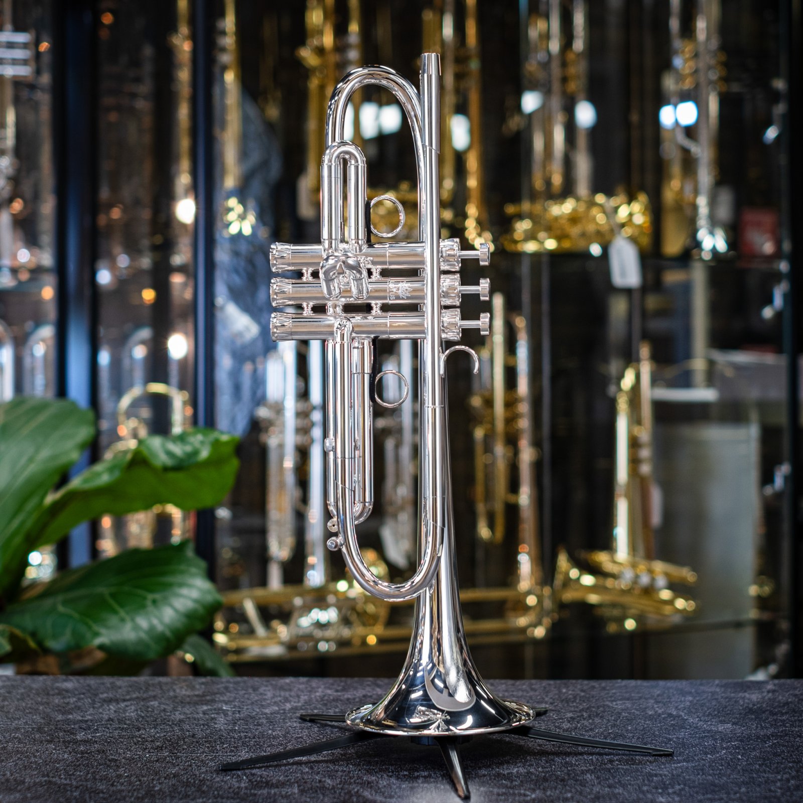 Lotus Lead/Solo Bb Trumpet - Silver - New