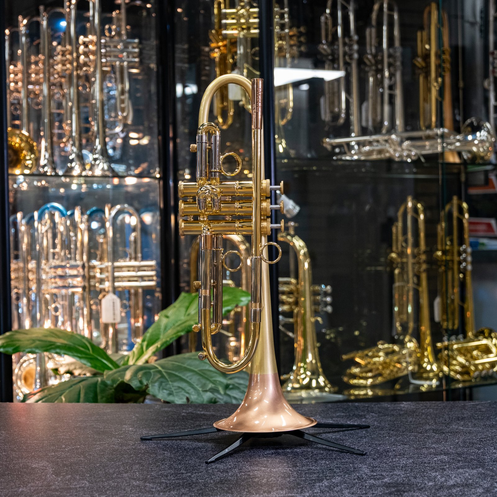 Taylor Piranha w/ Bronze Flare, Bauerfeind Valves - New