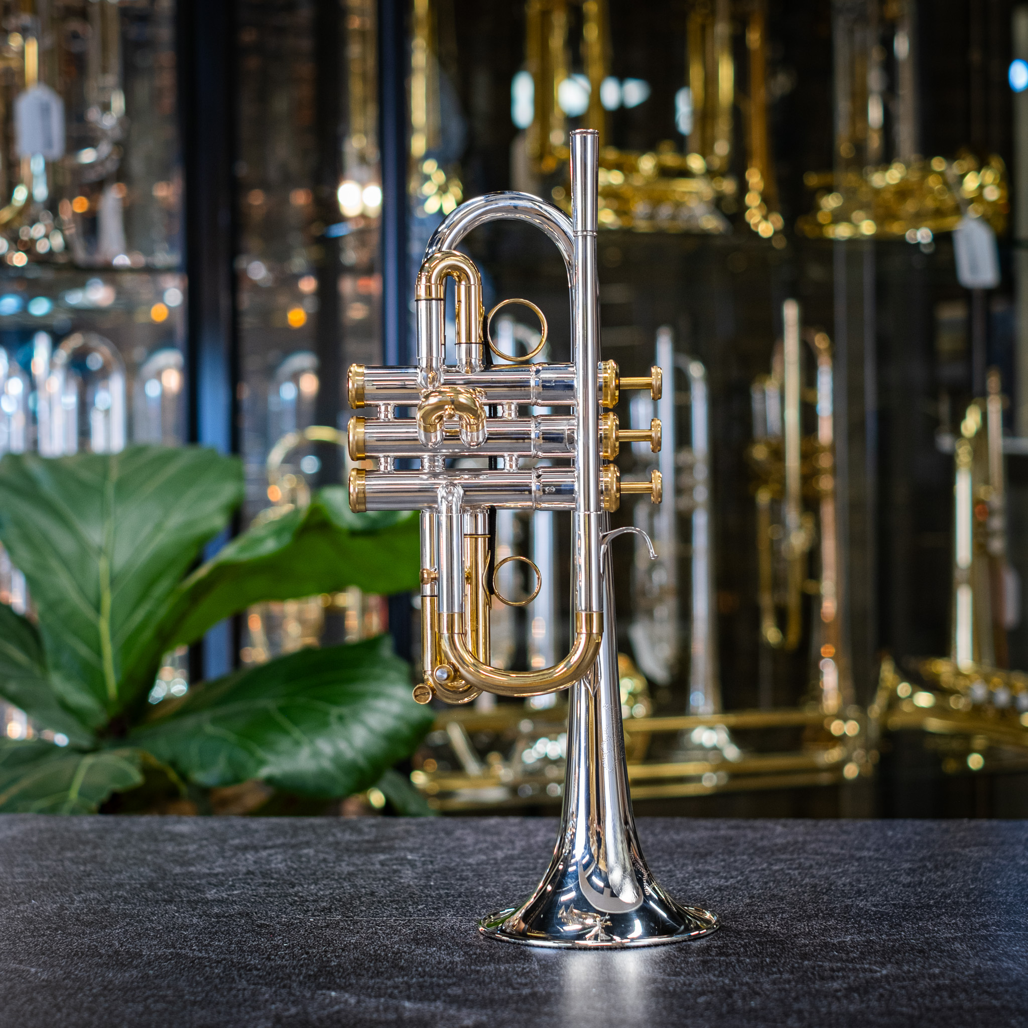 RS Berkeley D/Eb Trumpet w/ Original Case