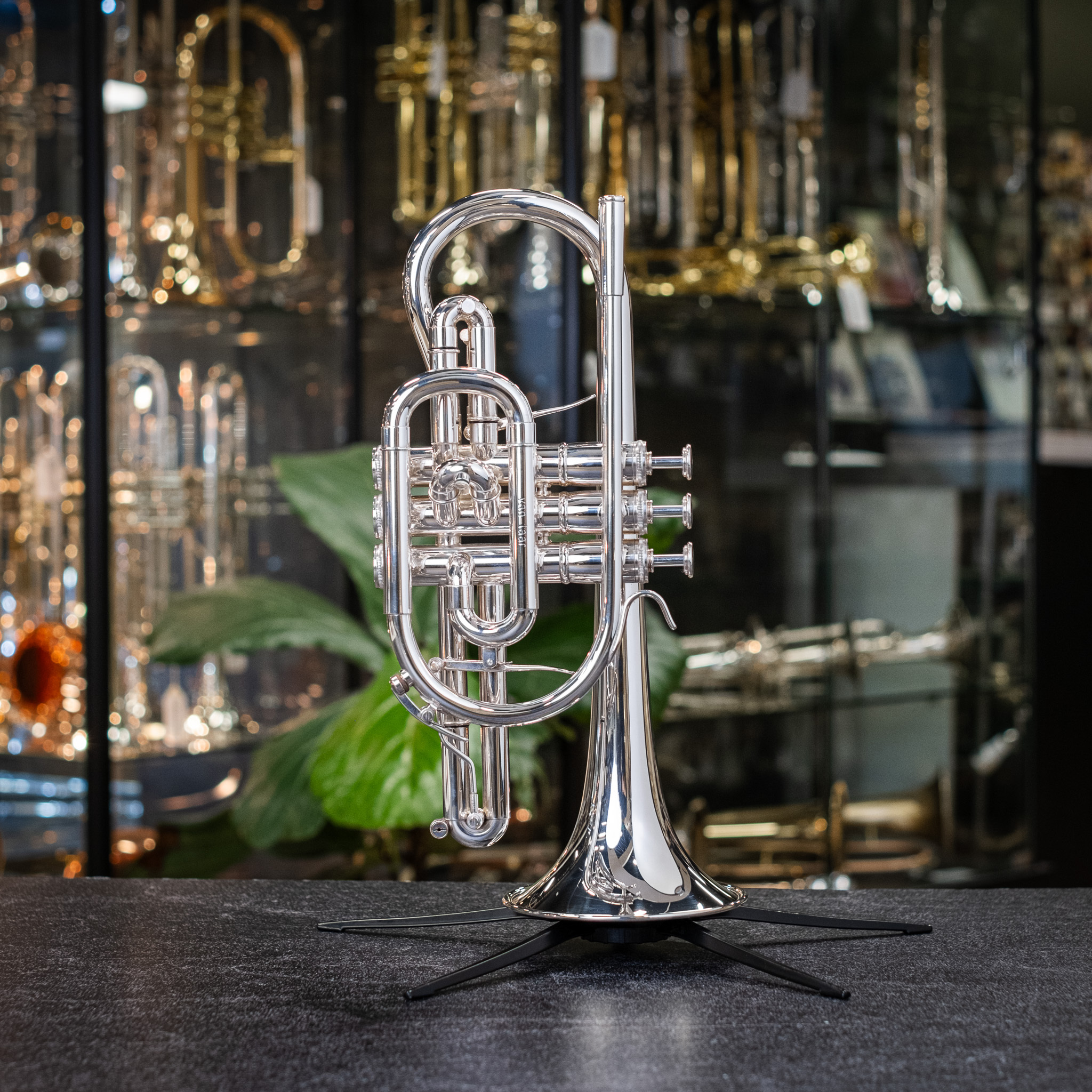 Van Laar Short Model Bb Cornet - Demo