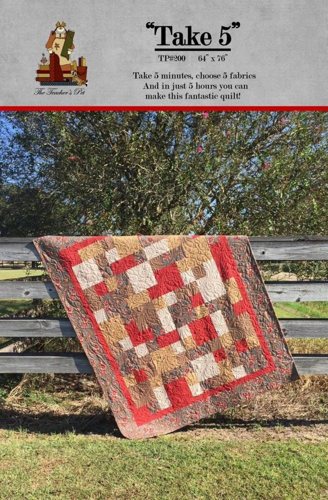 Take 5 Quilt Class
