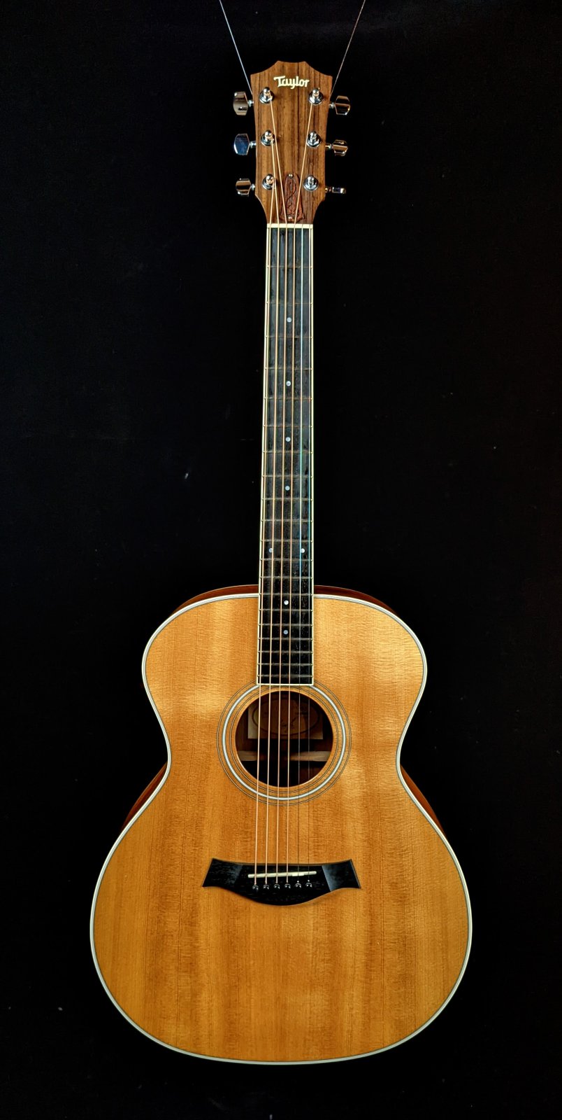 Steel String Acoustics