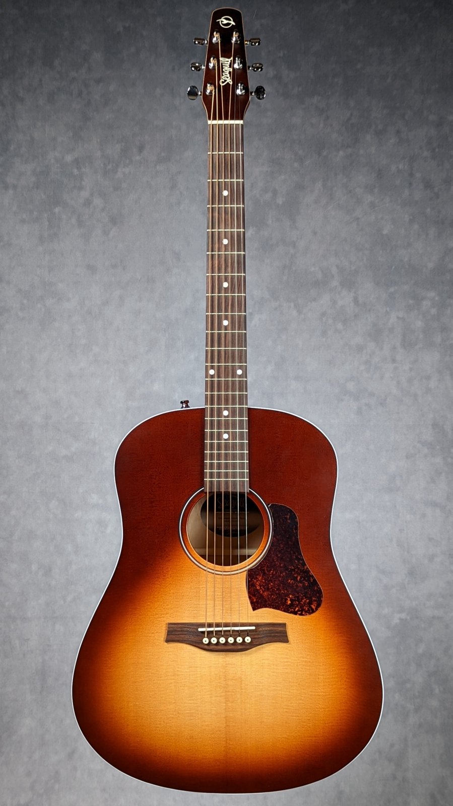 Seagull Entourage Autumn Burst