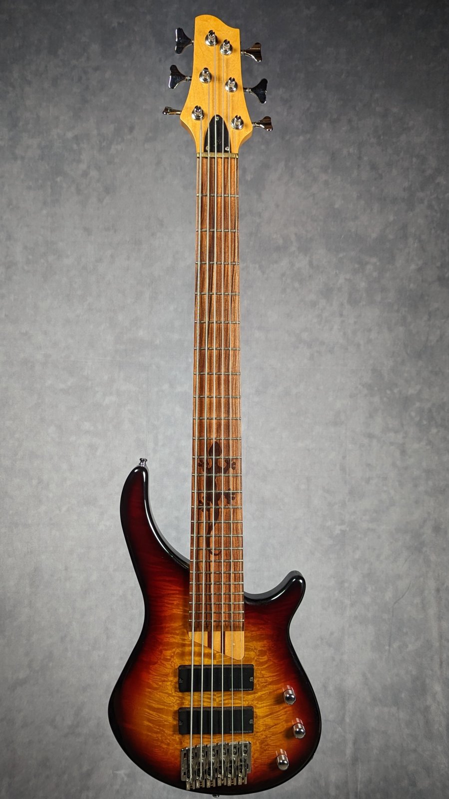 Used Warmoth Gecko 6-String Bass Project - Sunburst