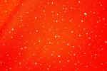 White Speckle Snow Flurries on Orange: Timeless Trails by P&B Textiles ...