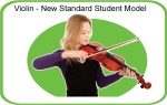 Student Model Violin Outfit New - Standard Model
